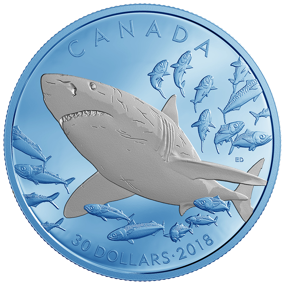 2018 $30 FINE SILVER COIN - THE GREAT WHITE SHARK - Bullion Mart
